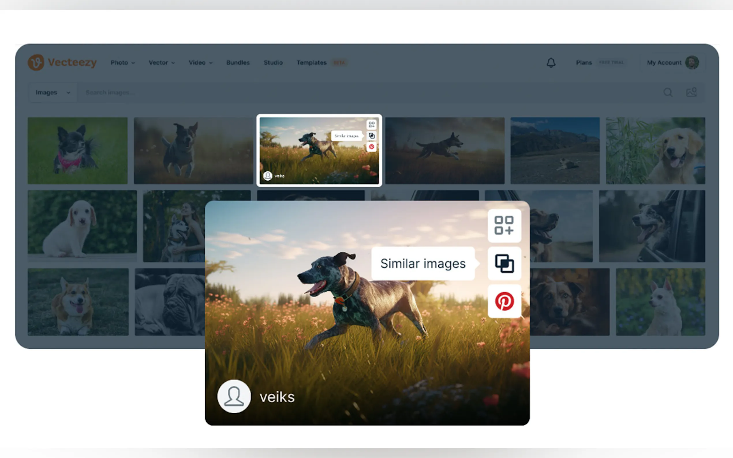 AI Reverse Image Search - AI Tool Information, Latest Updates and ...