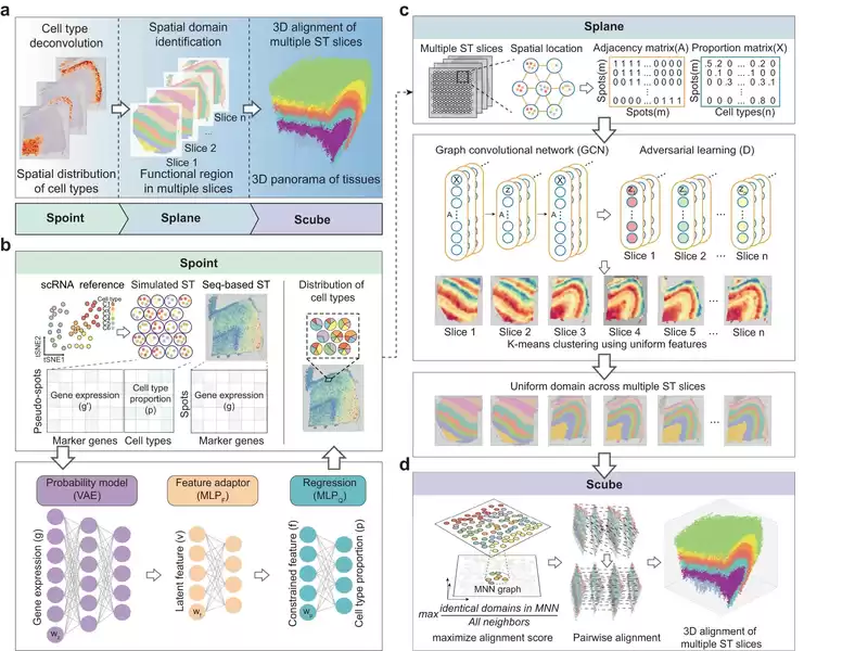 A new deep-learning-based analysis toolkit for spa... - AINave A new deep-learning-based analysis toolkit for spa... - AINave