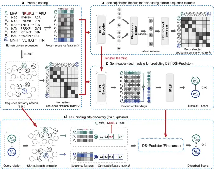 A protein sequence-based deep transfer learning fr... - AINave