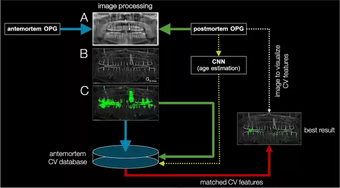 Accelerating computer vision-based human identific... - AINave