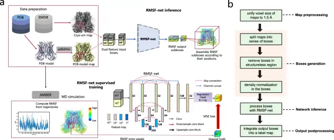 Accurate Prediction Of Protein Structural Flexibil Ainave