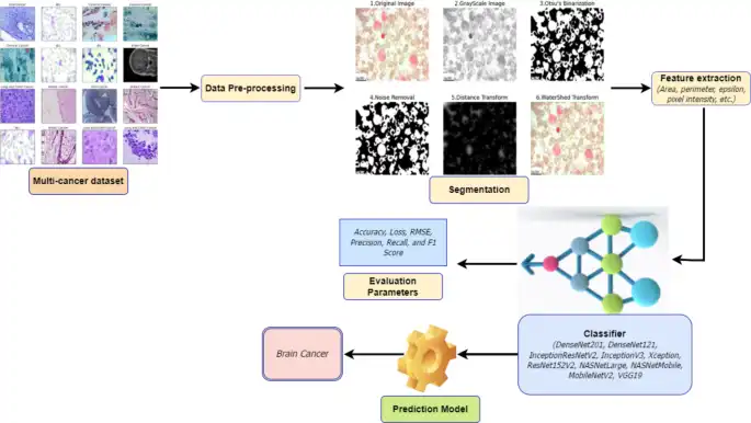 Automating cancer diagnosis using advanced deep le... - AINave