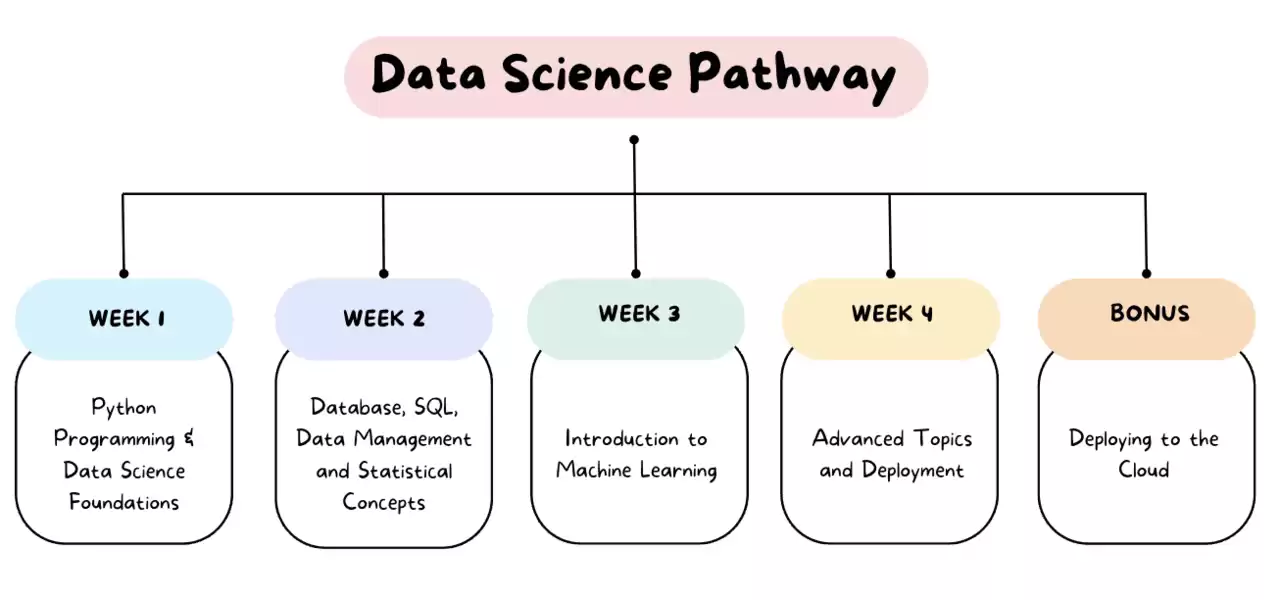 Back to Basics Pathway - KDnuggets... - AINave