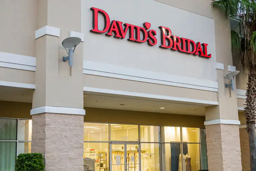 Byte-Sized AI: David’s Bridal Goes ‘Aisle to Algor... - AINave