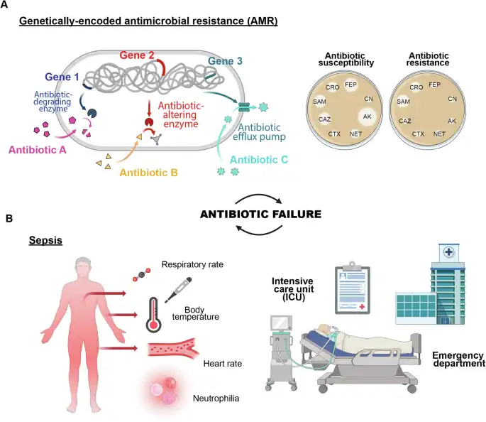 Challenges and applications of artificial intellig... - AINave
