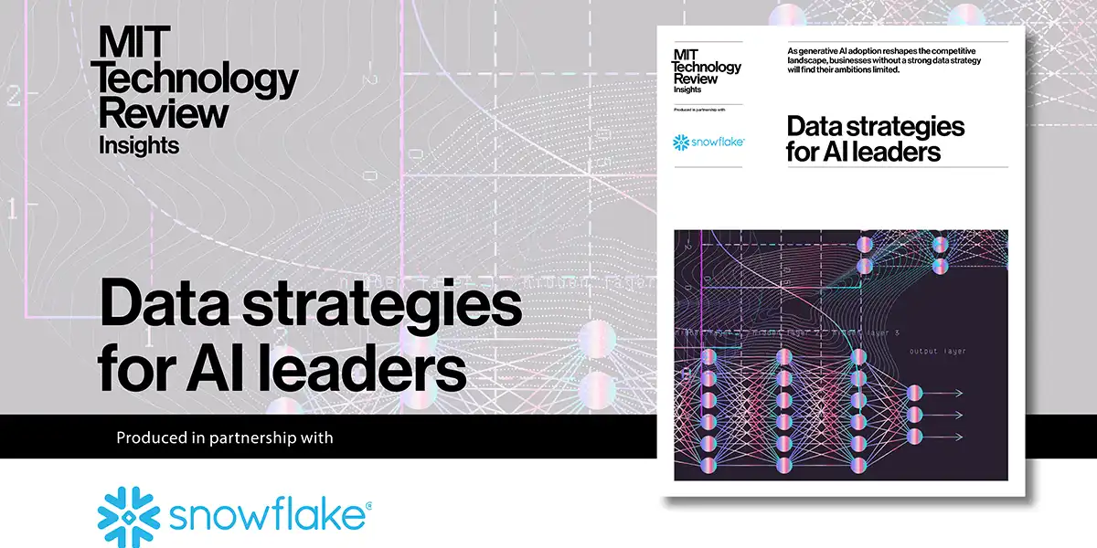 Data strategies for AI leaders... - AINave