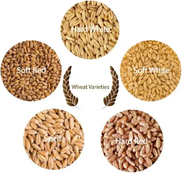 AINave - Navigate the world of AI with ease