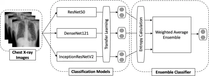 Generalizable disease detection using model ensemb... - AINave
