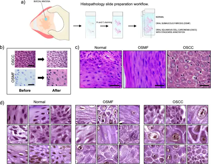 AINave - Navigate the world of AI with ease