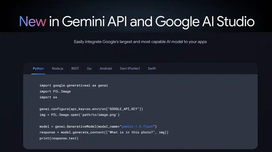 How to use Google Gemini's new Code Execution feat... - AINave