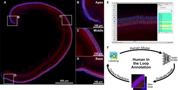 AINave - Navigate the world of AI with ease