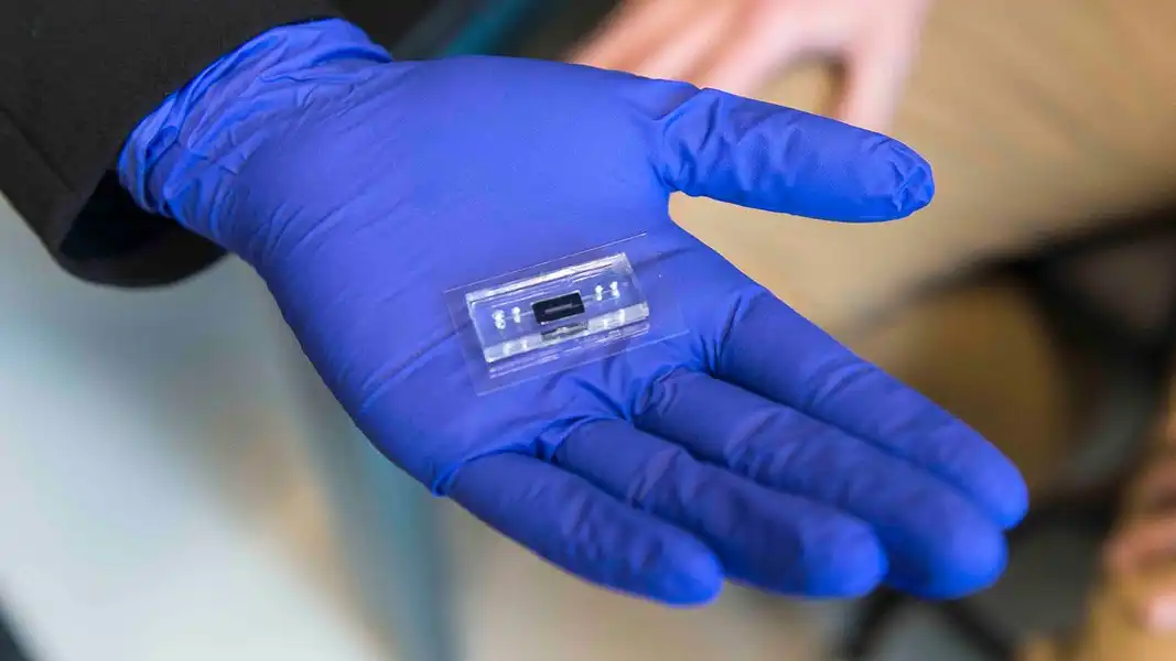 New DNA-infused computer chip can perform calculat... - AINave
