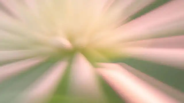 Openais New “criticgpt” Model Is Trained To Criti Ainave