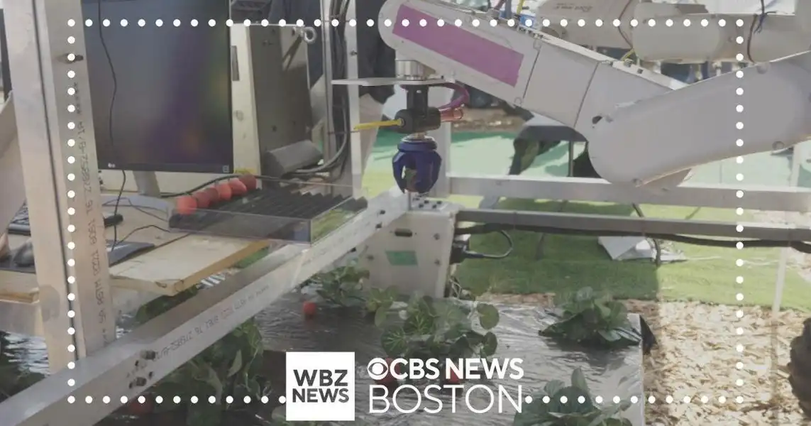 AINave - Navigate the world of AI with ease