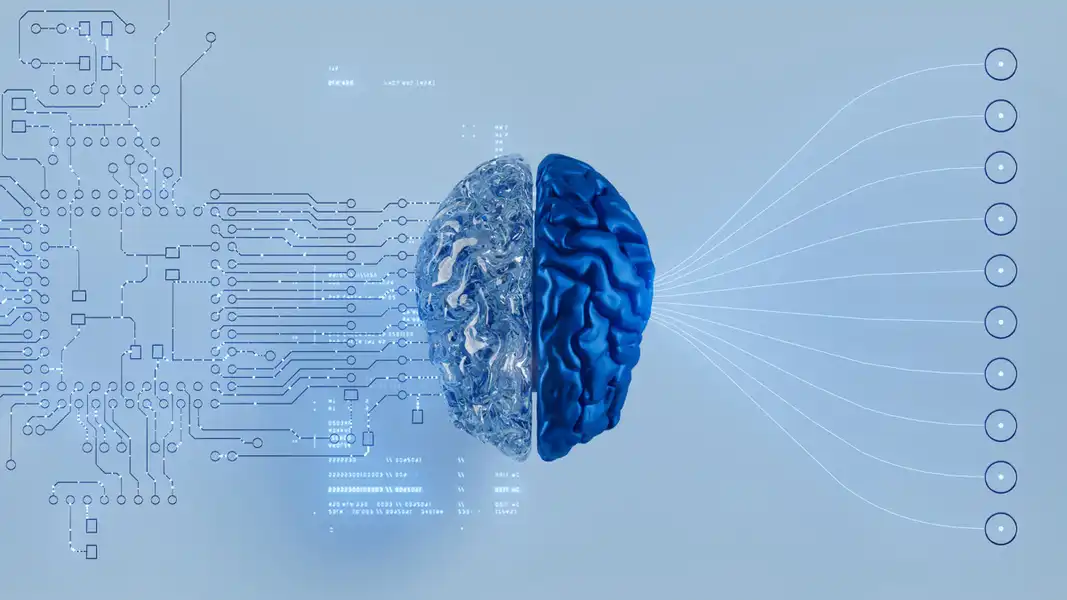 What Is a Neural Net?... - AINave