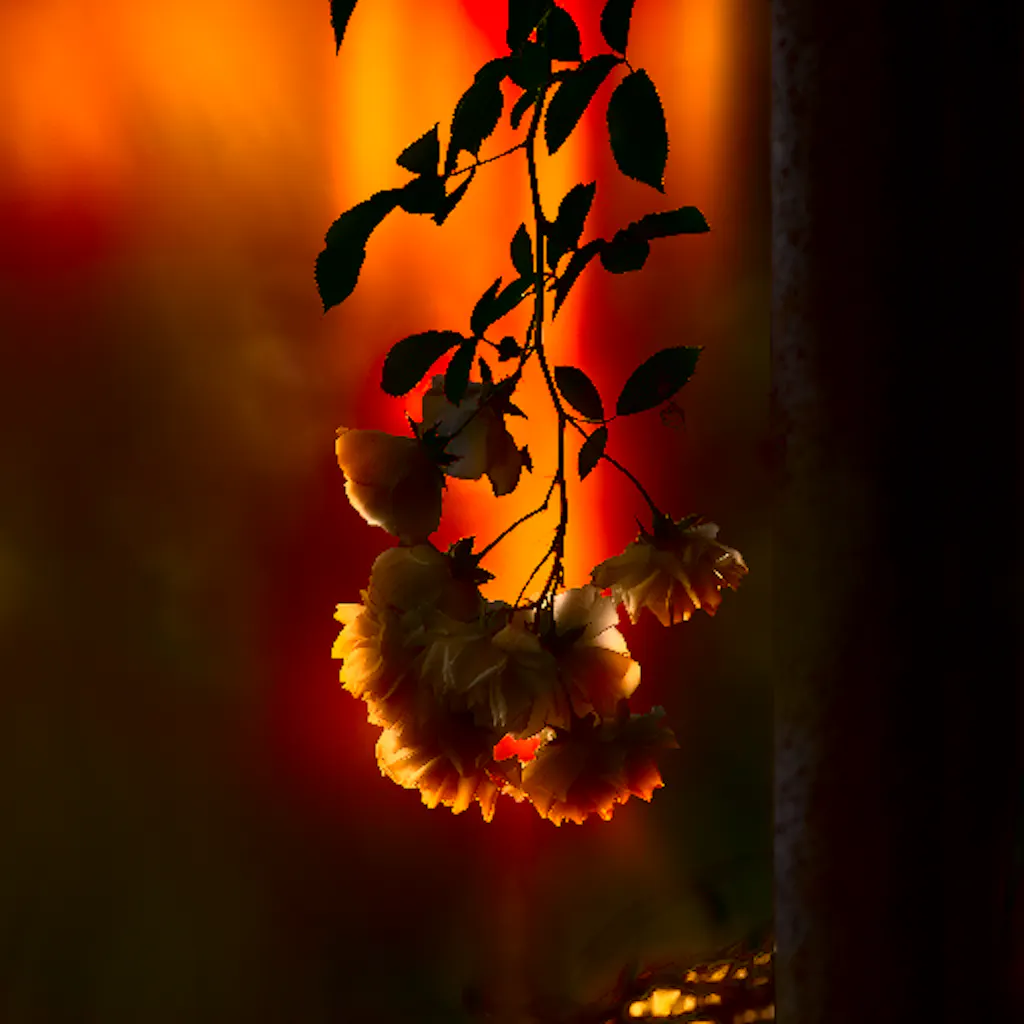 Relight AI - AI Tool Information, Latest Updates and Alternatives - AINave